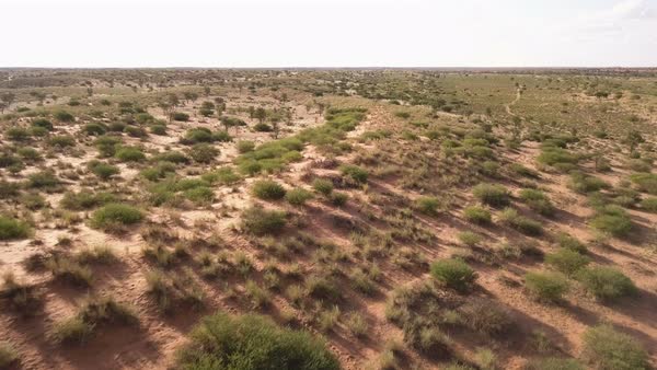 Aerial over arid semi desert scrubland, low evening light - 4K Royalty ...