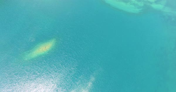 Aerial Drone Scene From Top View To Front View Of Green Lake With Lot Of Sediments From River In aerial-drone-scene-from-top-view-to-front-view-of-green-lake-with-lot-of-sediments-from-river-in