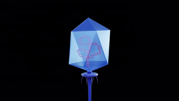 T4 Bacteriophage Virus Structure Being Built Stock Video Footage Dissolve 