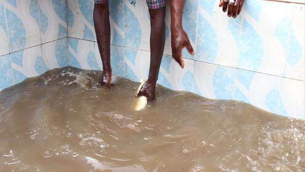 Washing cassava, slow motion - Stock Video Footage - Dissolve