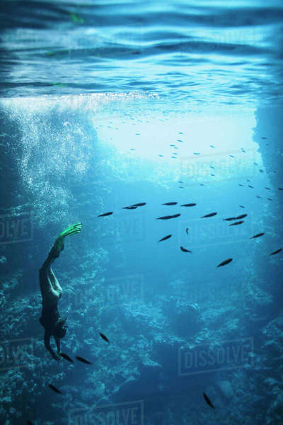 Young woman snorkeling underwater among fish, Vava'u, Tonga, Pacific ...