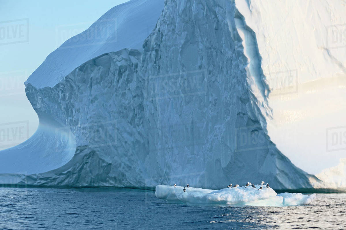 Birds below majestic iceberg formation Greenland - Royalty-free Stock ...