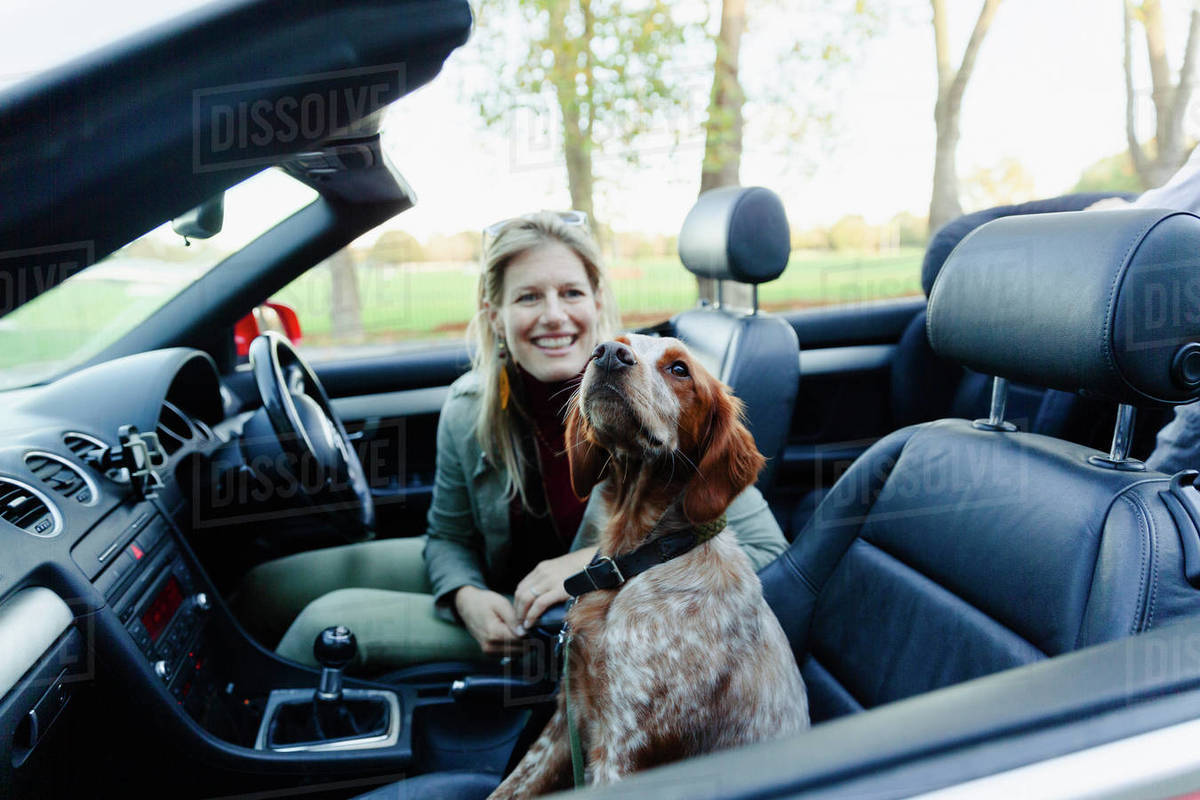 Portrait happy woman riding in convertible with dog - Royalty-free ...