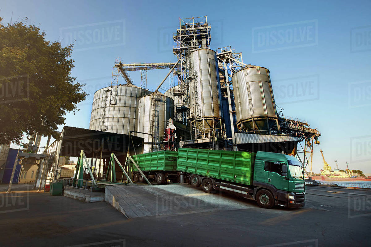 Unloading grain truck at elevator on elevating hydraulic platform ...