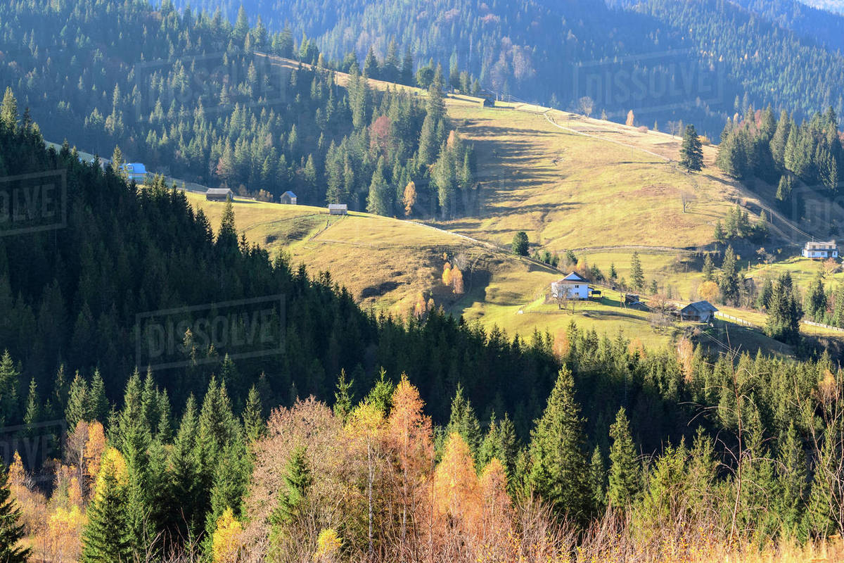 Ukraine, Ivano-Frankivsk region, Verkhovyna district, Carpathians ...
