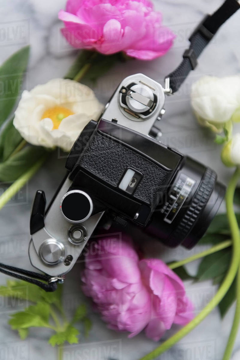 Camera and flowers - Royalty-free Stock Photo | Dissolve