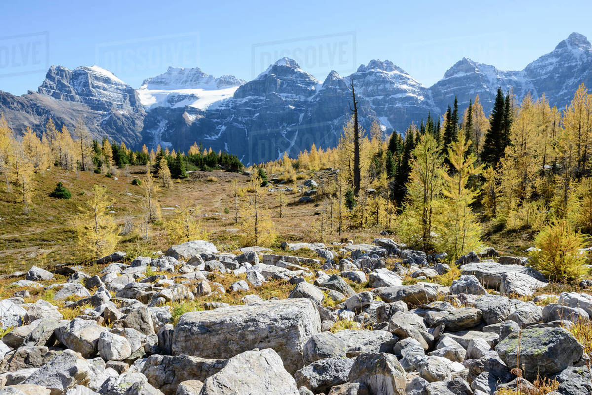 Canada, Alberta, Banff, Forest and mountains in Banff National Park ...