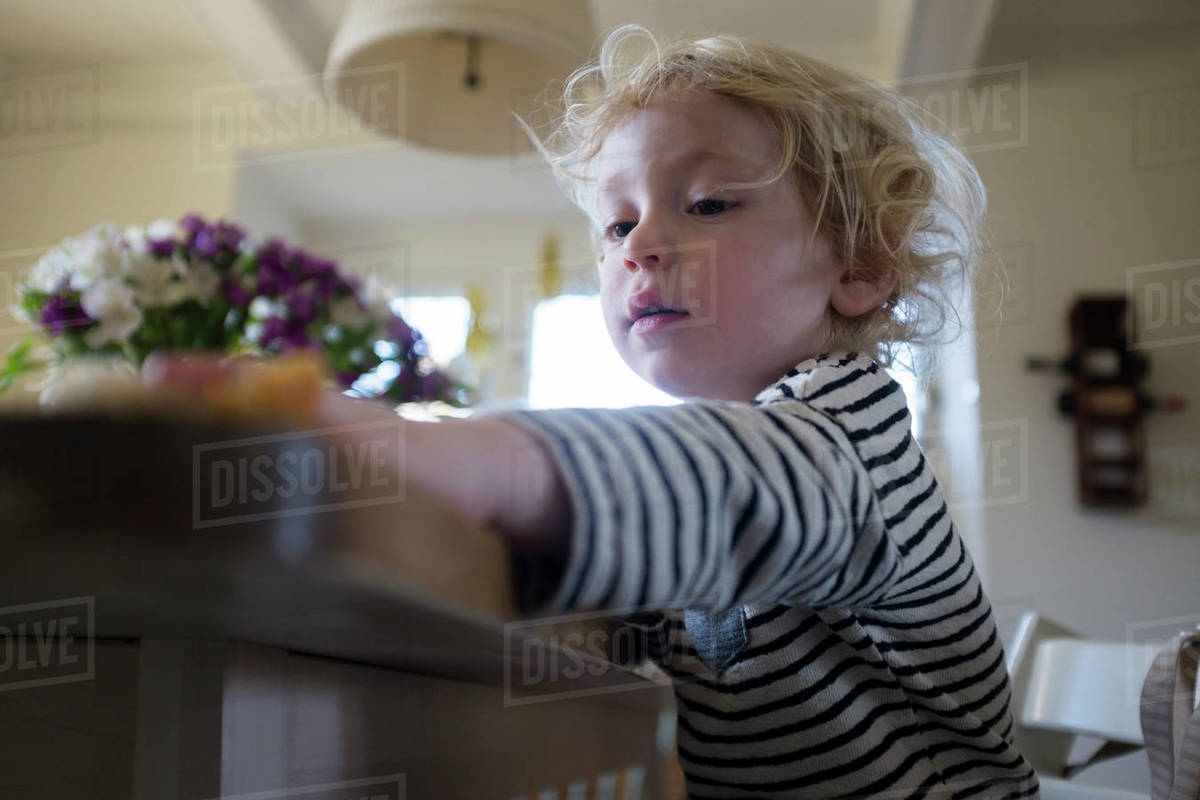 Boy at table - Stock Photo - Dissolve