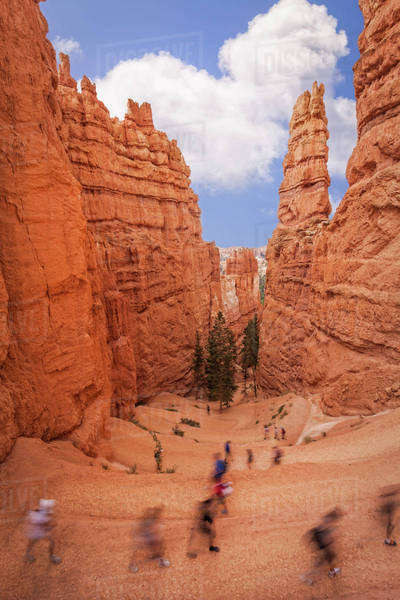 Hikers along Navajo Trail - Stock Photo - Dissolve