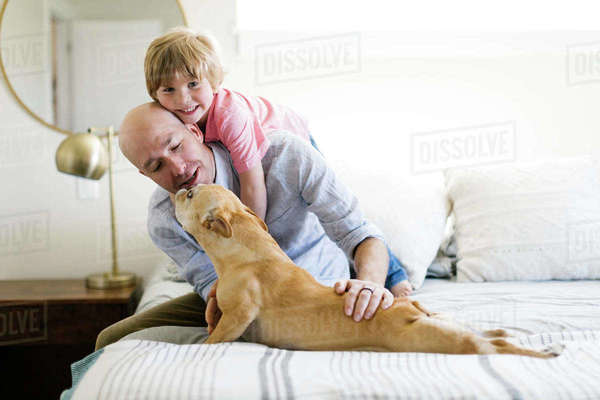 Father and son on bed with their dog - Stock Photo - Dissolve