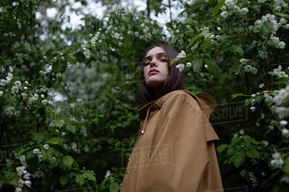 Low angle view of young woman by blossoms - Stock Photo - Dissolve