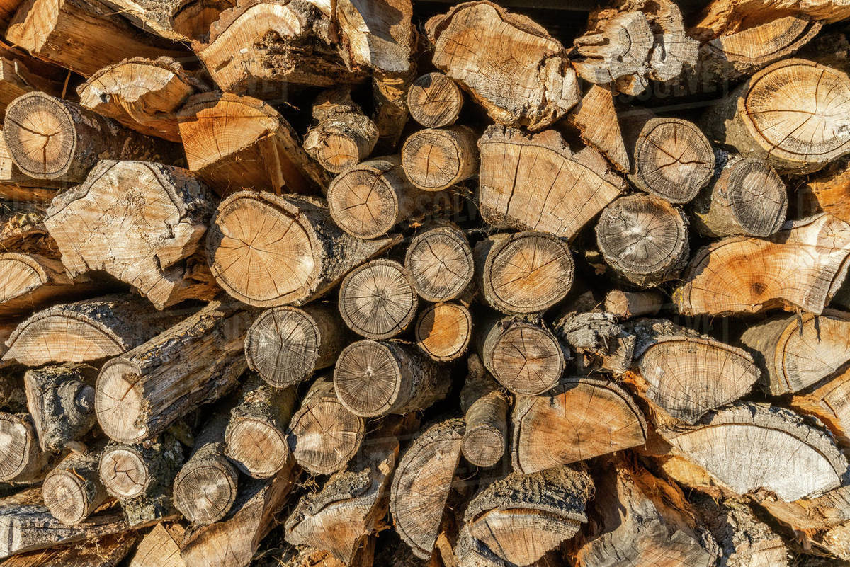 Stacked logs - Stock Photo - Dissolve