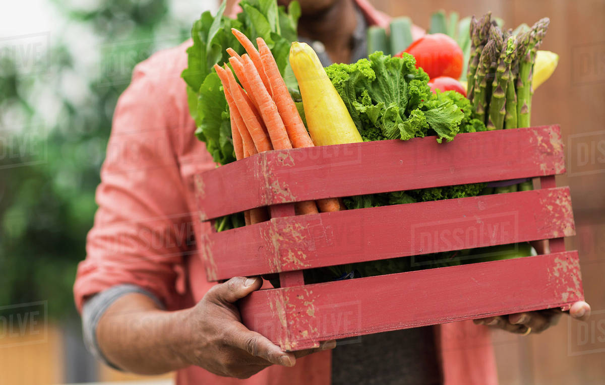 Close up of man carrying crate full of fresh vegetables - Royalty-free ...