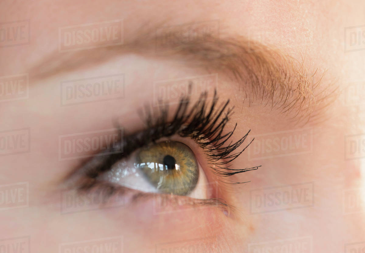 Close-up of woman's eye - Stock Photo - Dissolve