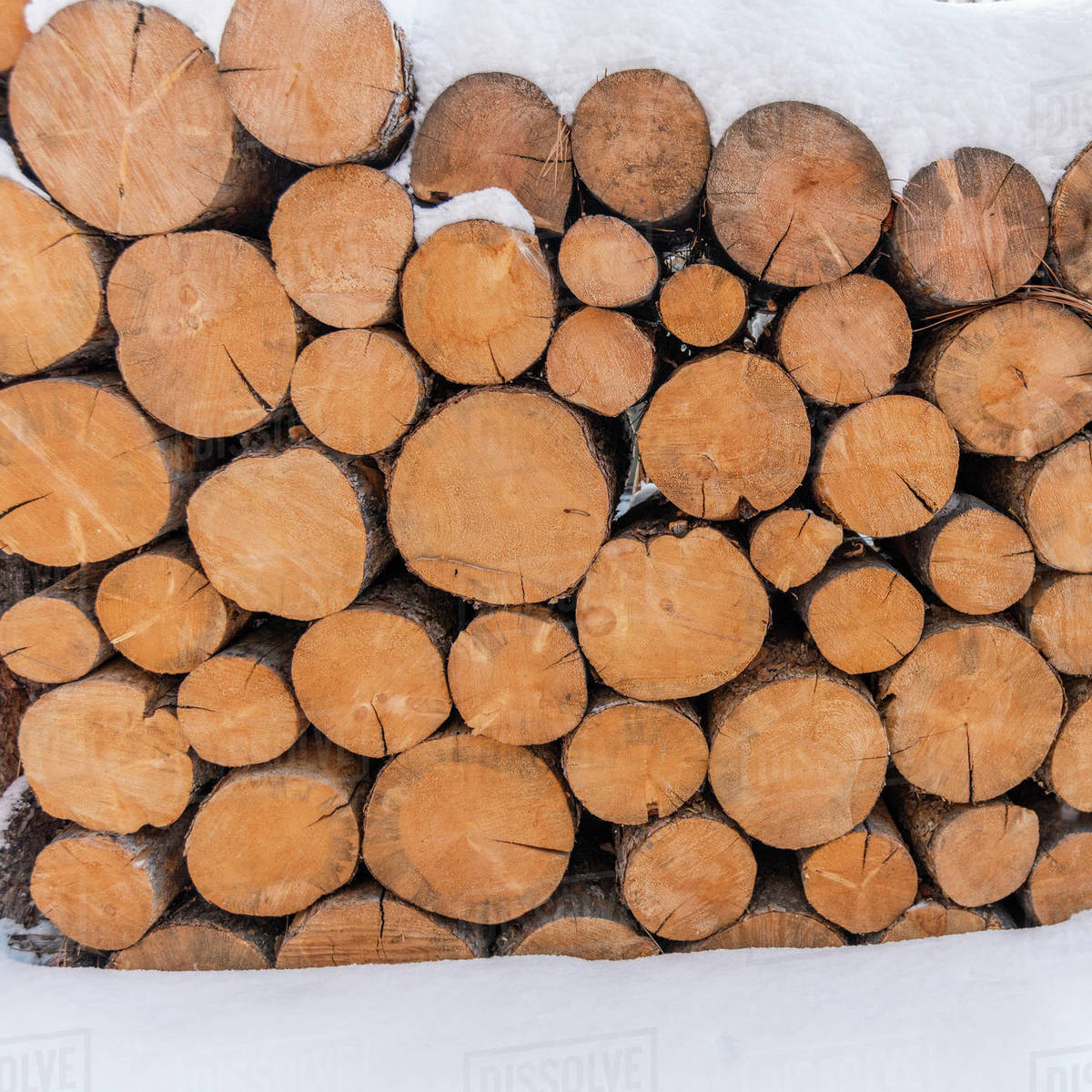 Stacked logs in snow - Royalty-free Stock Photo | Dissolve