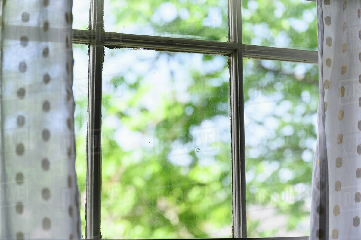 Summer trees seen through window - Stock Photo - Dissolve