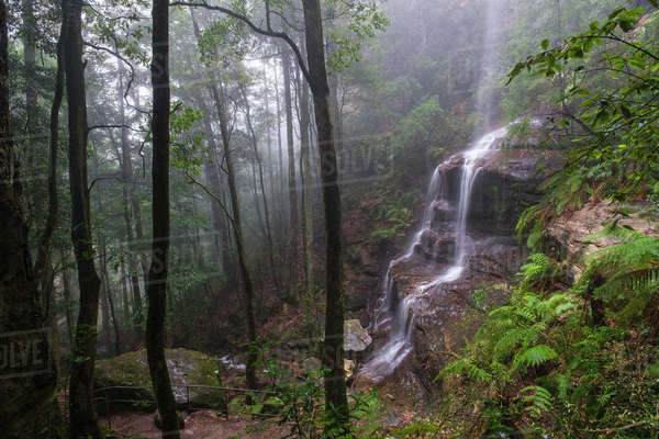 Australia, New South Whales, Katoomba, Misty rain forest with waterfall ...