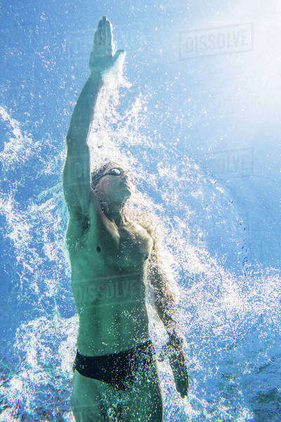 Underwater view of athletic swimmer - Royalty-free Stock Photo | Dissolve