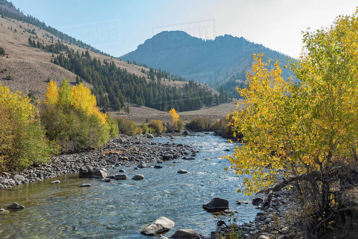 United States, Idaho, Sun Valley, Big Lost River in autumn landscape ...