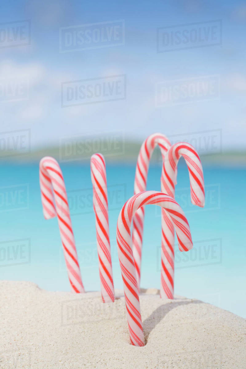 Christmas Candy Canes on tropical beach - Stock Photo - Dissolve