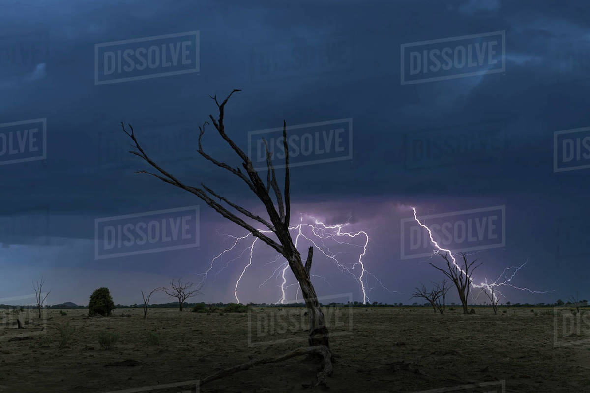Botswana, Chobe National Park, Thunderstorm over savannah - Royalty ...