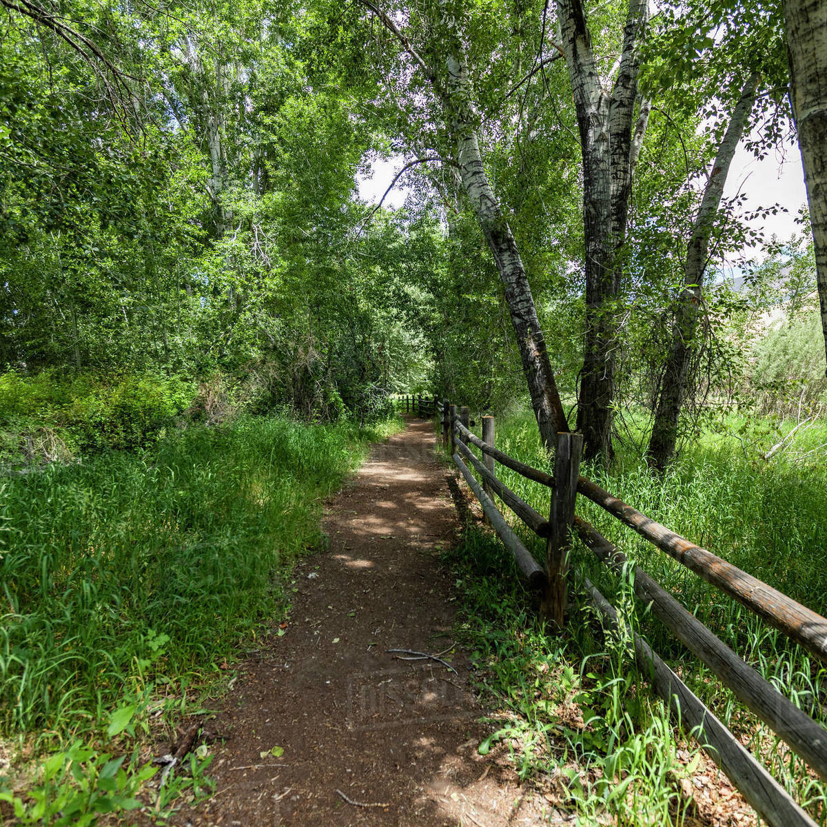 USA, Idaho, Bellevue, Footpath and wooden fence in rural area - Stock ...