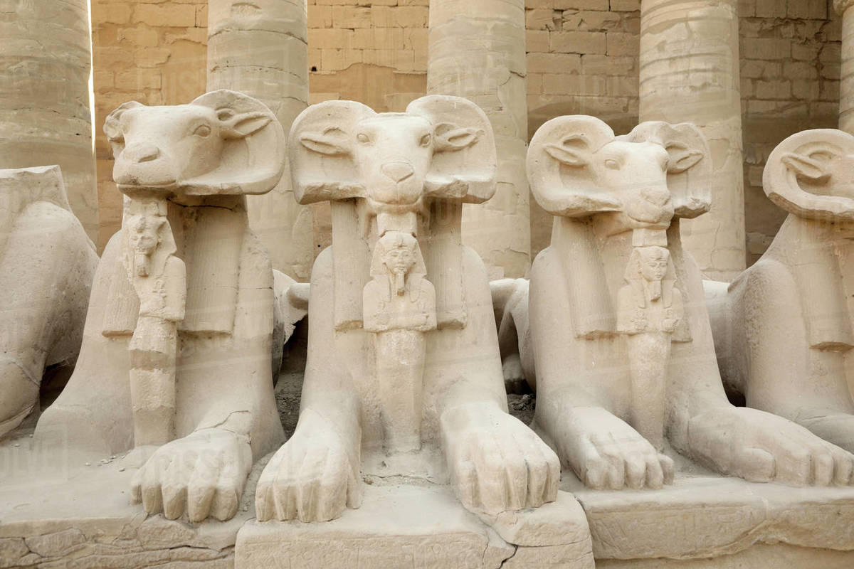 Egypt, Luxor, Animal statues at Temple of Karnak - Royalty-free Stock ...