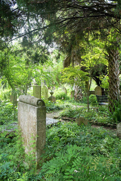 Old church graveyard with lush foliage - Royalty-free Stock Photo ...