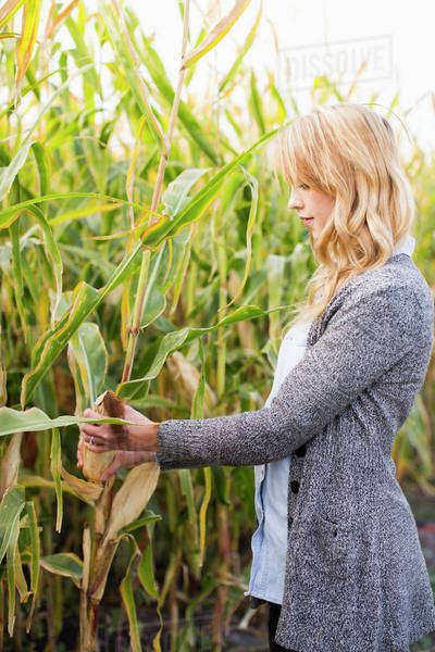 Young woman in corn field - Stock Photo - Dissolve