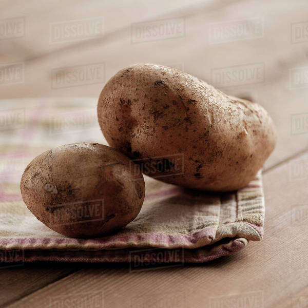 Studio shot of potatoes - Royalty-free Stock Photo | Dissolve
