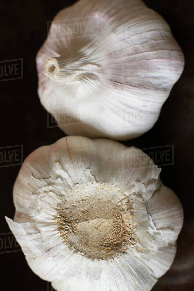 Studio Shot of garlic - Royalty-free Stock Photo | Dissolve