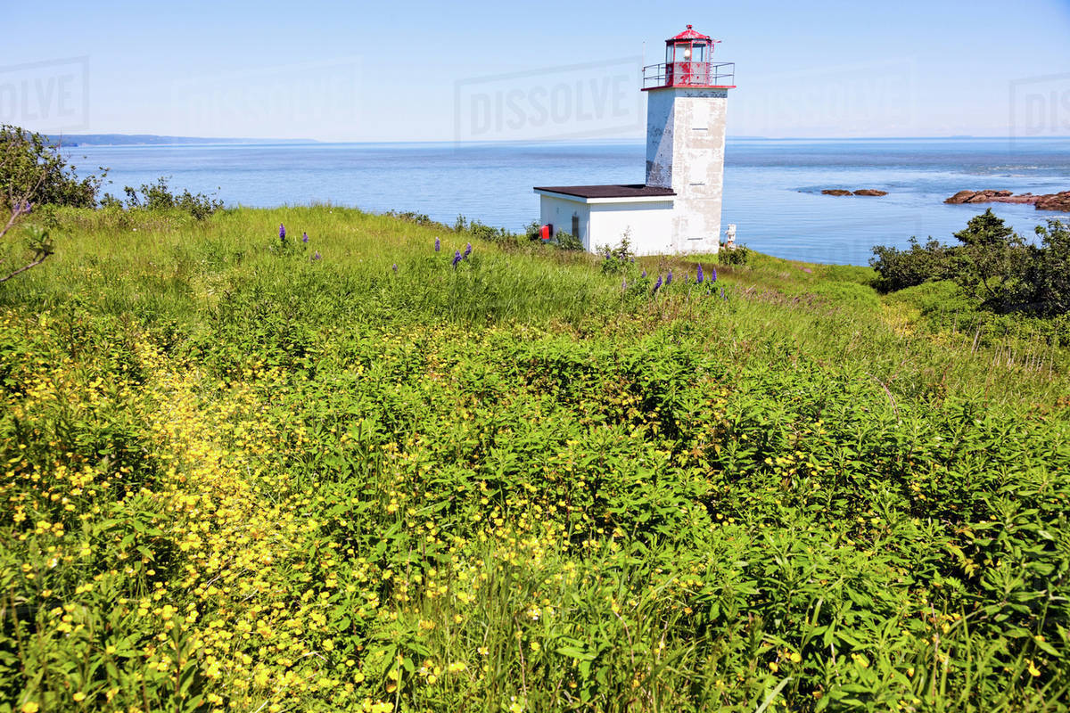 Quaco Head Lighthouse in meadow and horizon over sea - Royalty-free ...