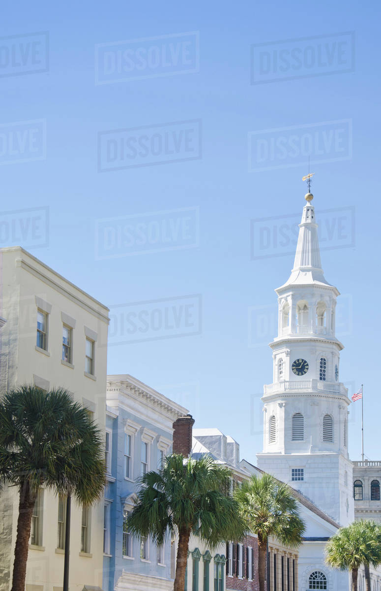 Buildings and palm trees in city - Stock Photo - Dissolve