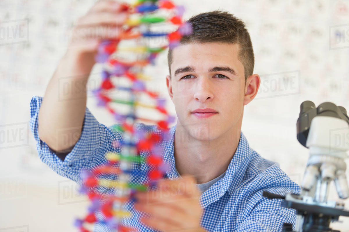Teenage student (16-17) learning genetics - Stock Photo - Dissolve