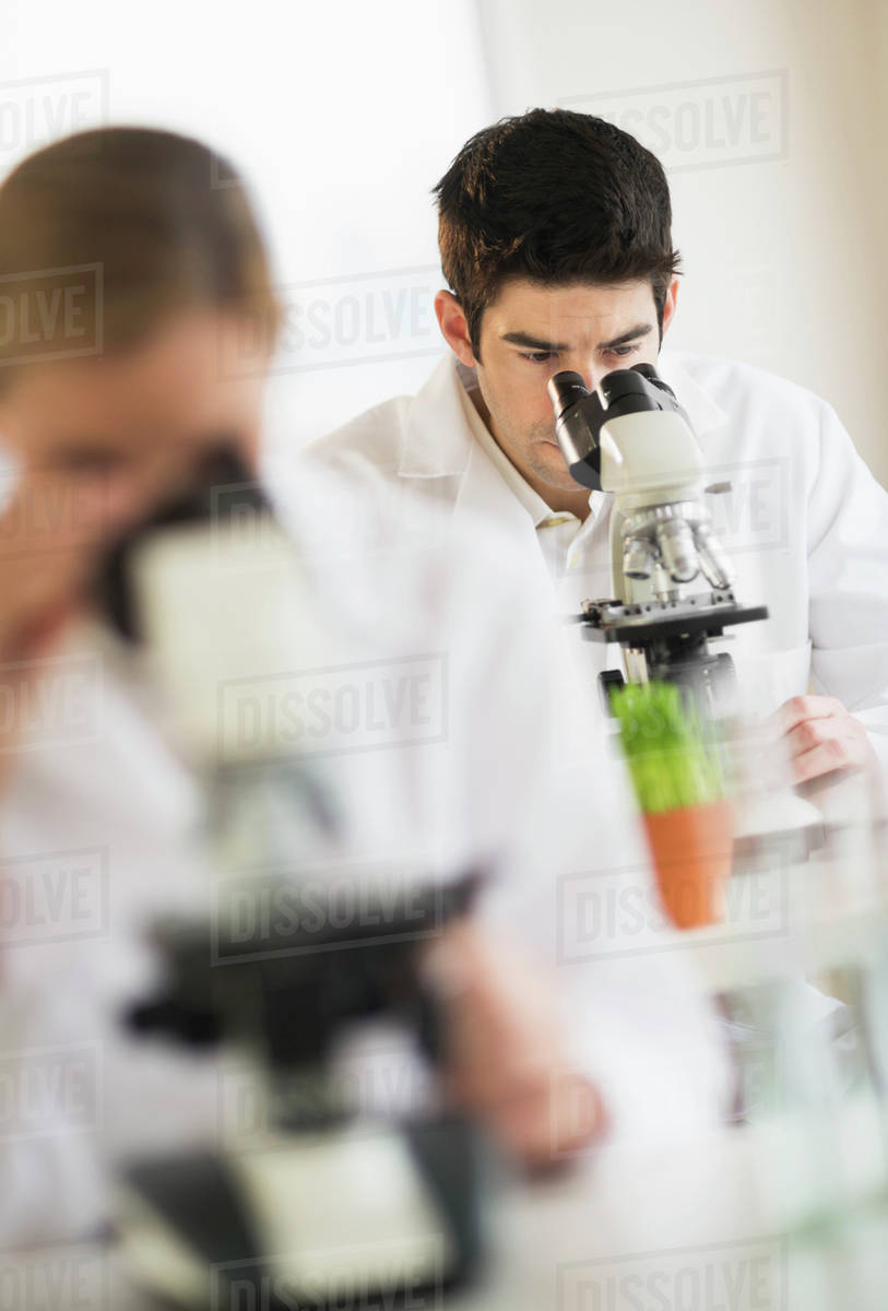 Scientists doing research on microscopes - Stock Photo - Dissolve