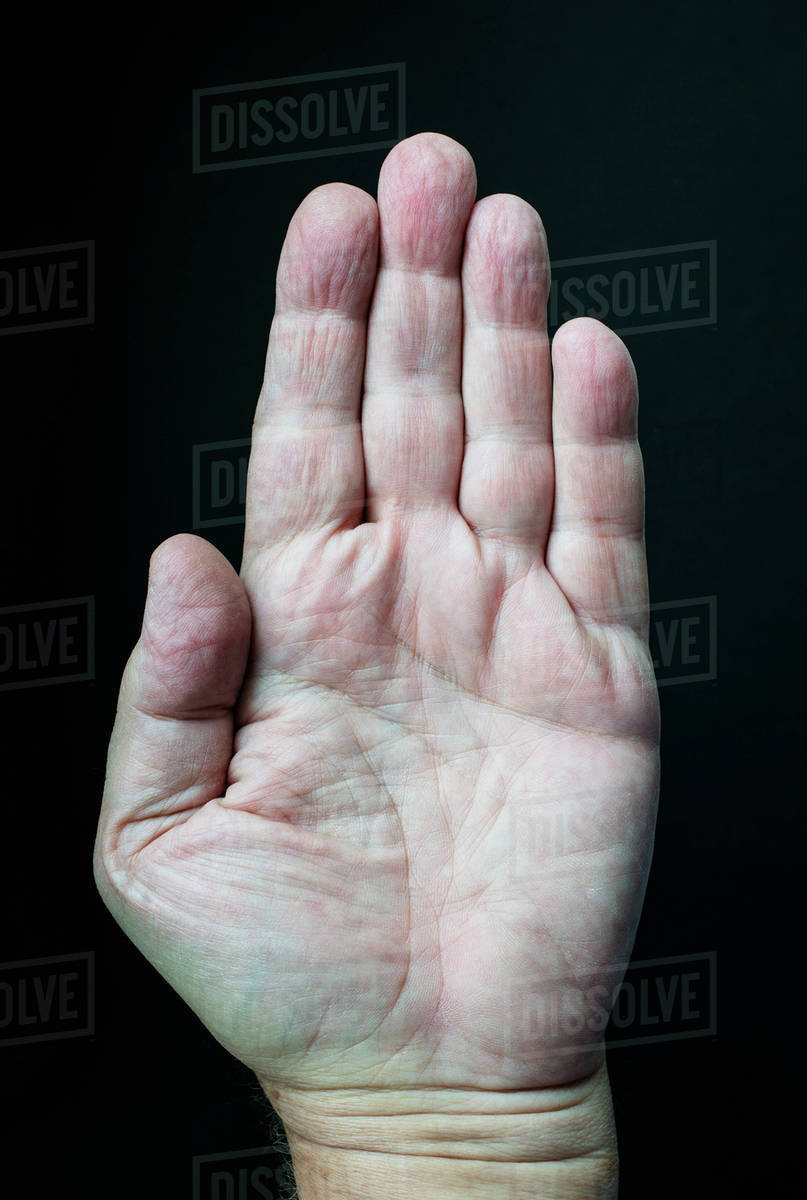 Studio shot of hand - Royalty-free Stock Photo | Dissolve