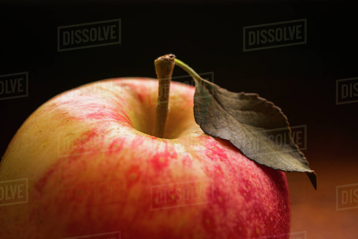 Close up of apple, studio shot - Royalty-free Stock Photo | Dissolve