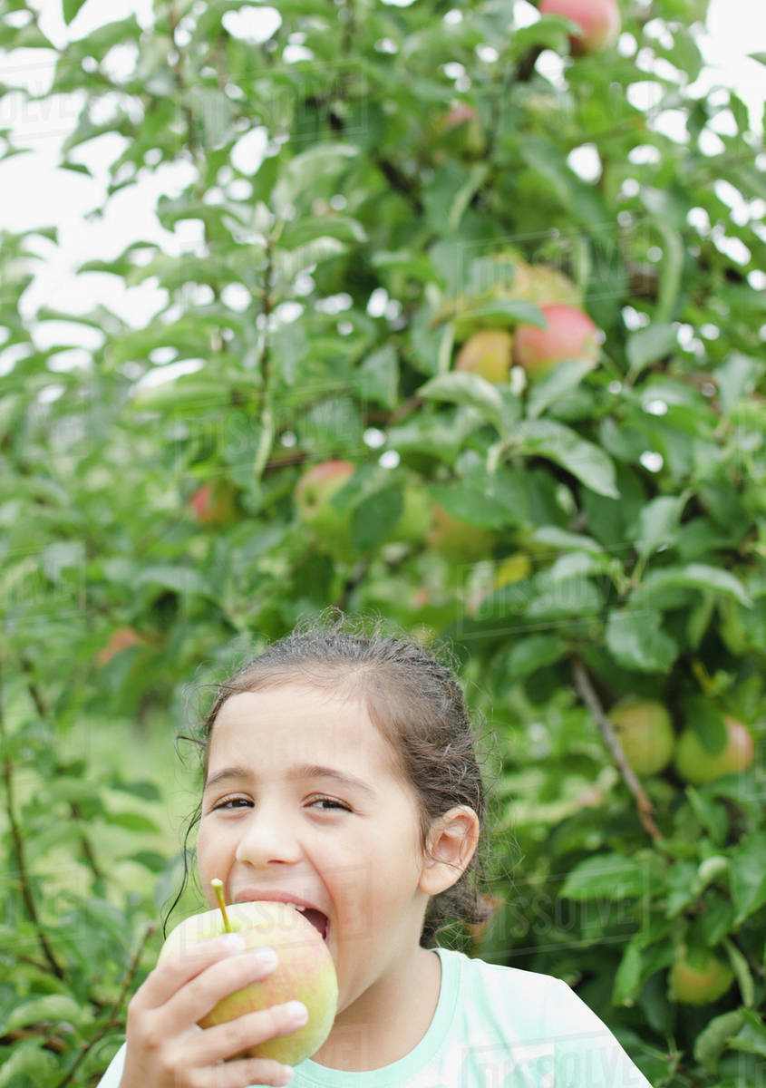 Close up of girl (8-9) eating apple in orchard - Stock Photo - Dissolve