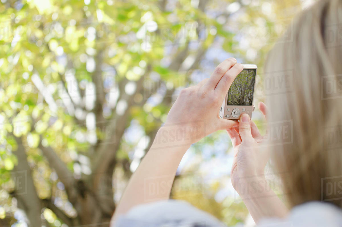 Woman photographing tree with cell phone - Stock Photo - Dissolve