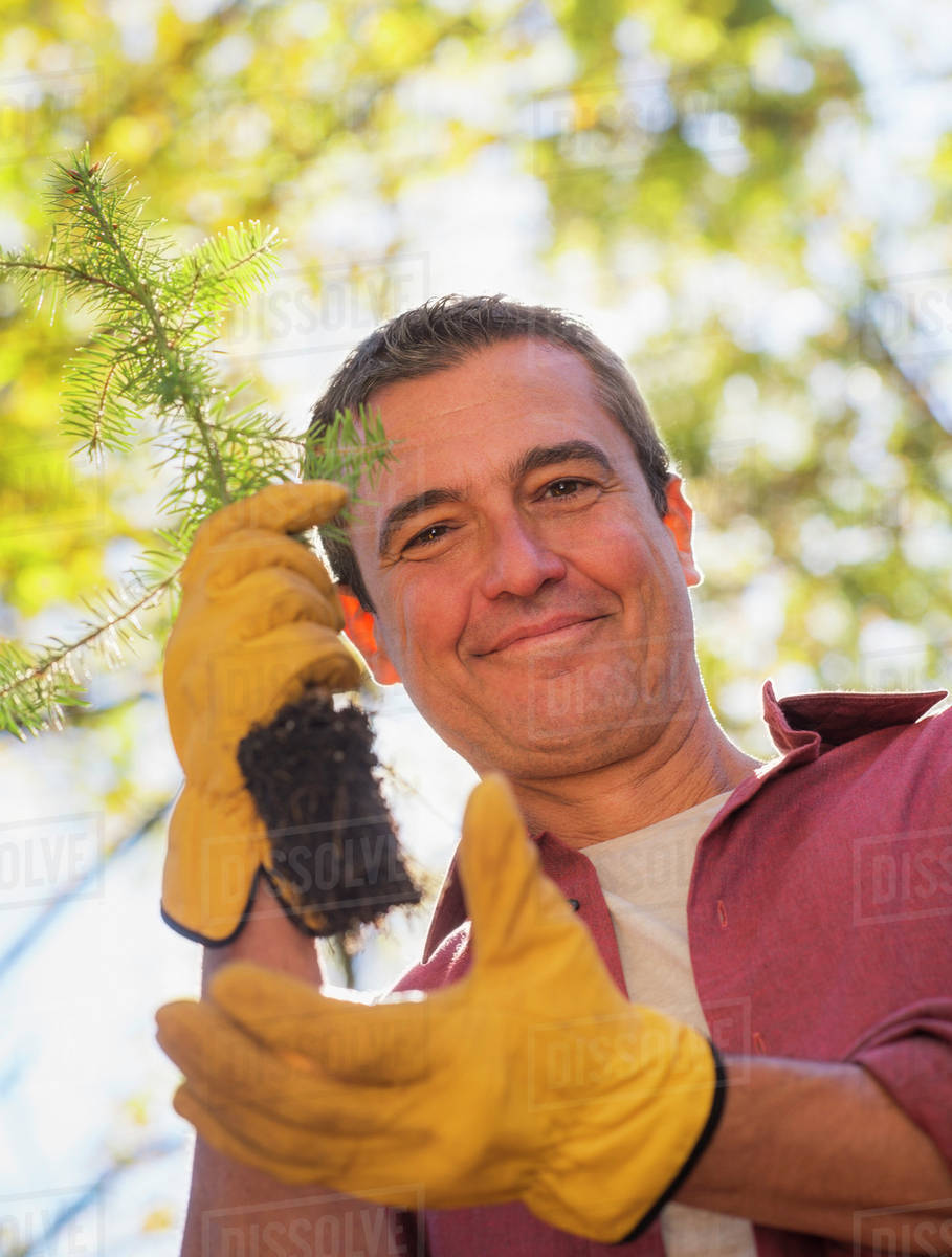Portrait of man holding tree seedling - Royalty-free Stock Photo | Dissolve