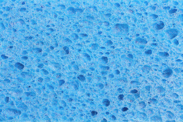 Close-up texture of sponge - Stock Photo - Dissolve