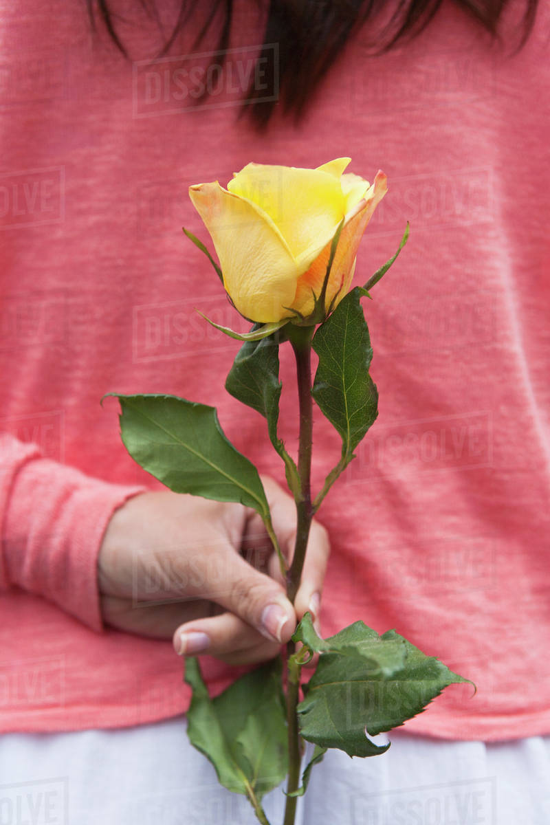 Rear view of woman holding yellow rose behind back - Royalty-free Stock ...