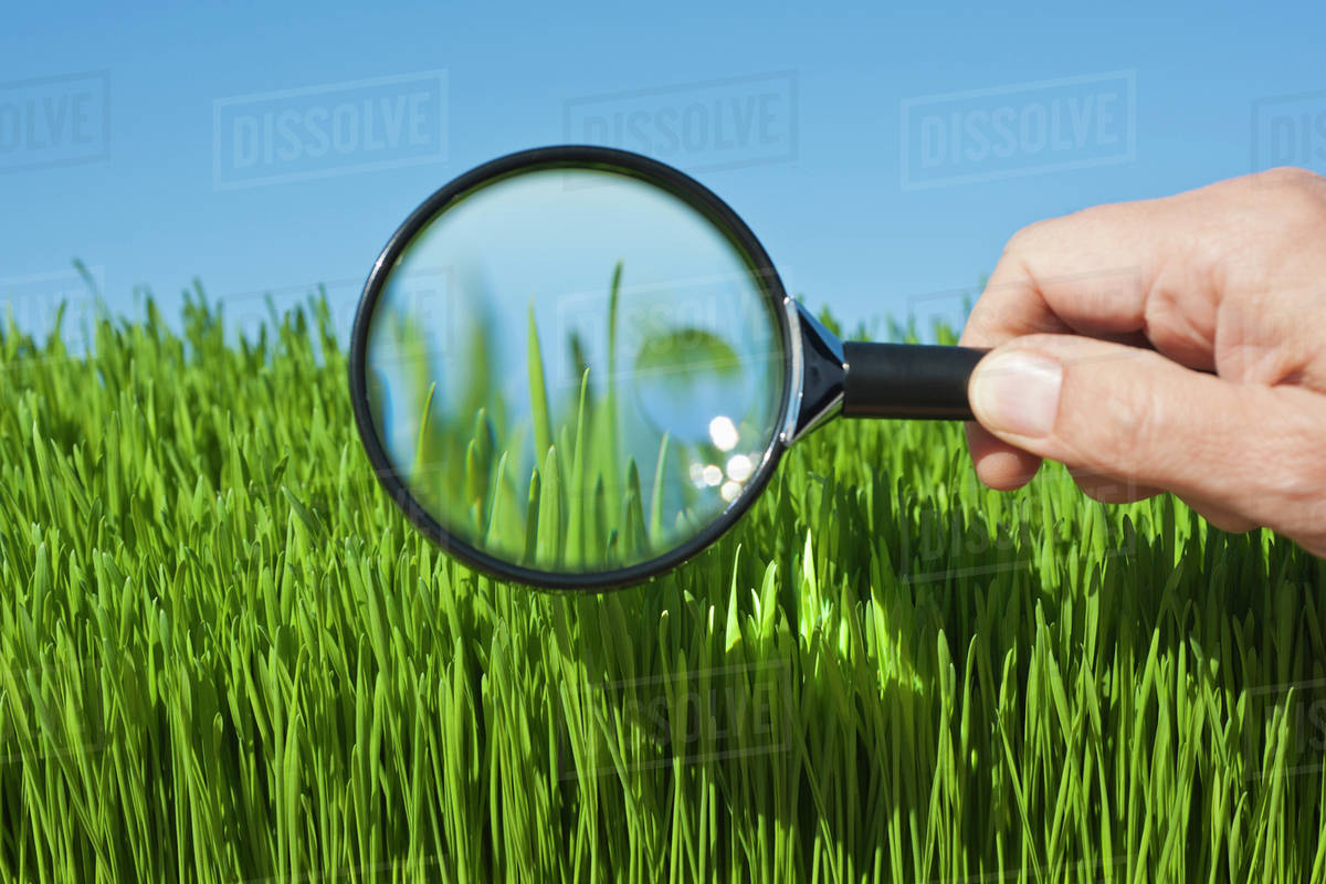 Male hand holding magnifying glass over grass - Royalty-free Stock ...