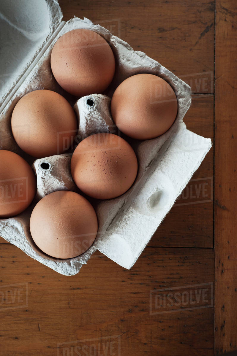 Studio shot of egg - Royalty-free Stock Photo | Dissolve