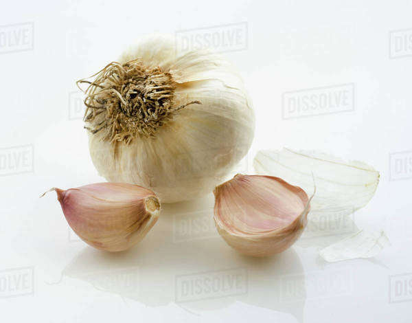 Studio shot of garlic - Royalty-free Stock Photo | Dissolve