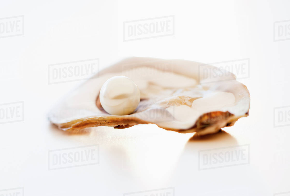 Studio shot of pearl in oyster - Royalty-free Stock Photo | Dissolve