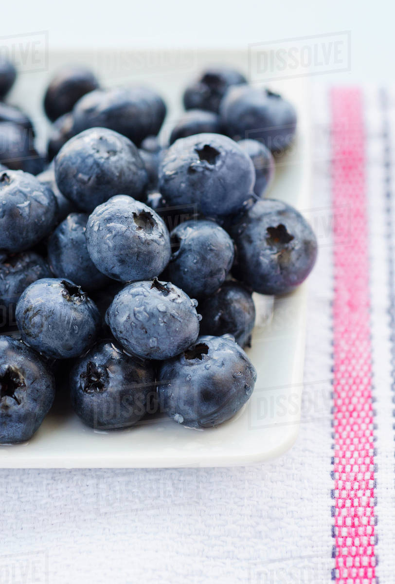 Studio shot of blueberries - Royalty-free Stock Photo | Dissolve
