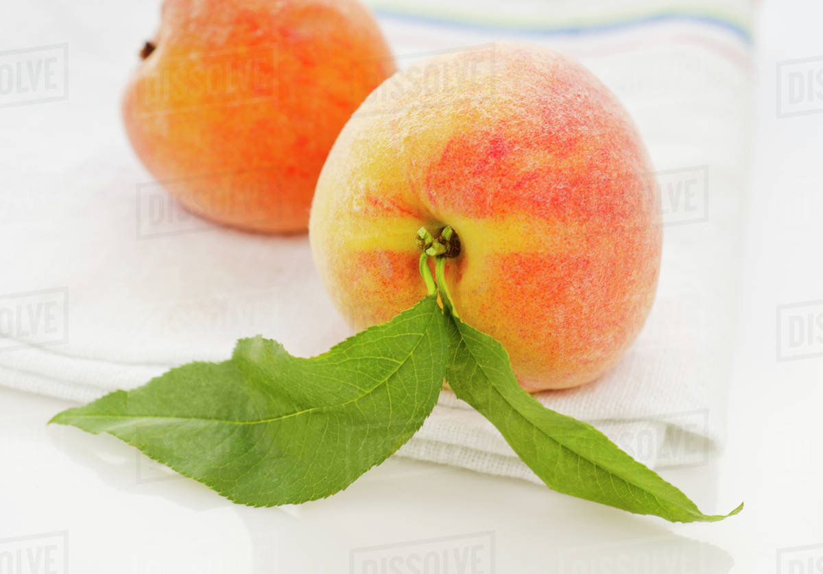 Studio shot of peaches - Royalty-free Stock Photo | Dissolve