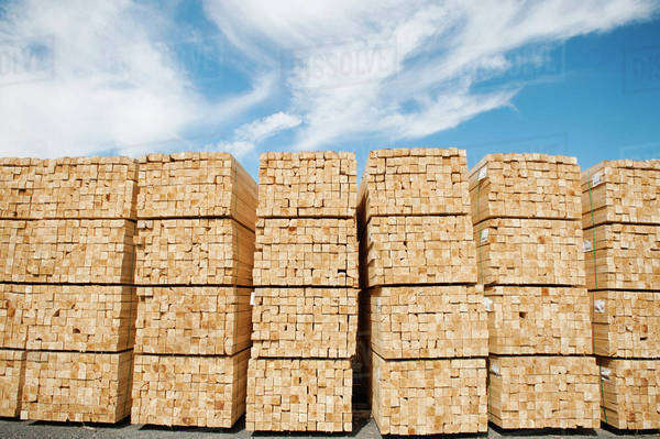 Orderly stacks of timber - Royalty-free Stock Photo | Dissolve