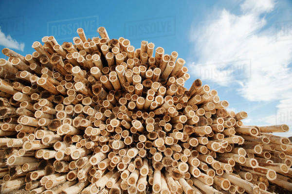 Stack of timber against blue sky - Royalty-free Stock Photo | Dissolve